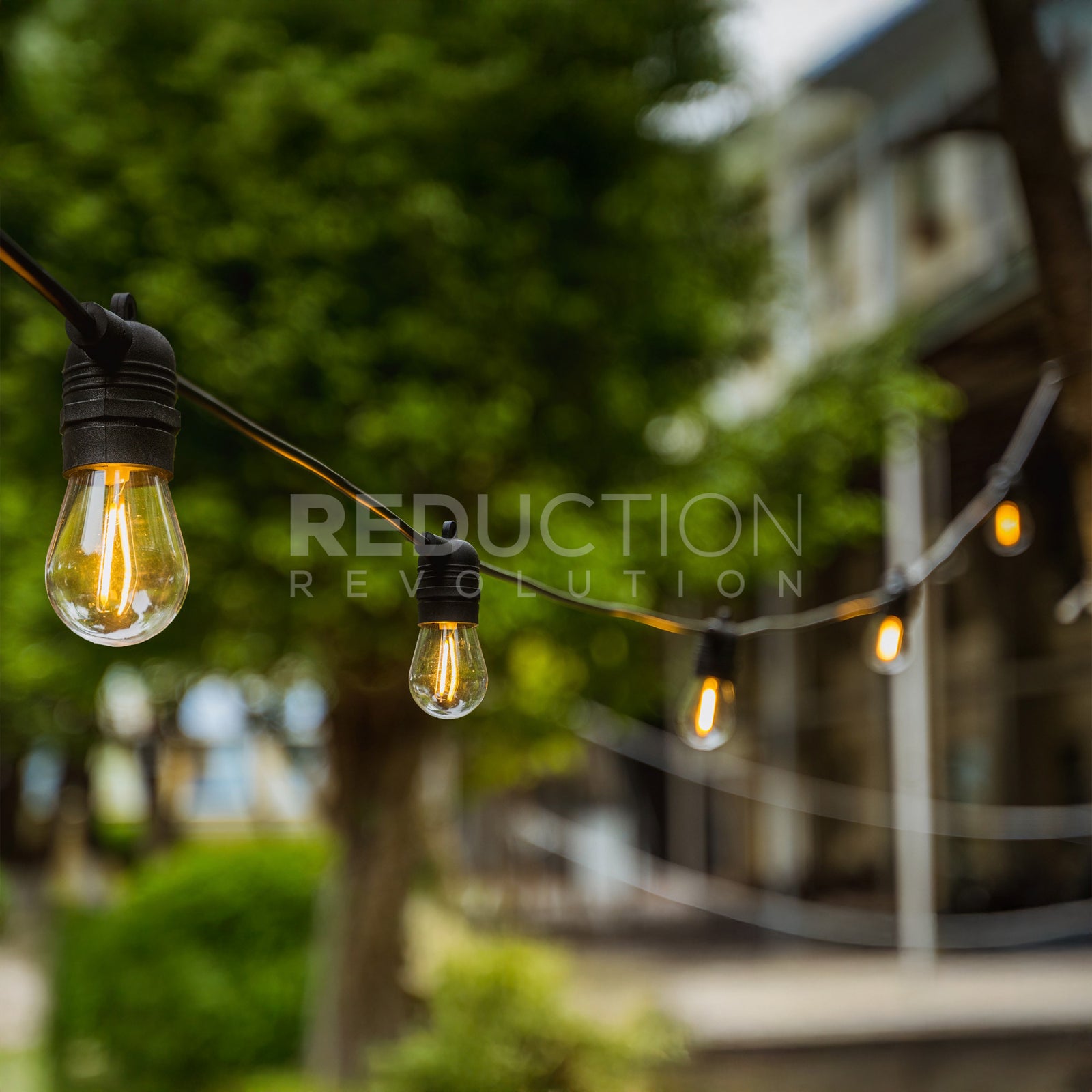 EGLO Outdoor Festoon Lights - 10 LED Bulb Kit